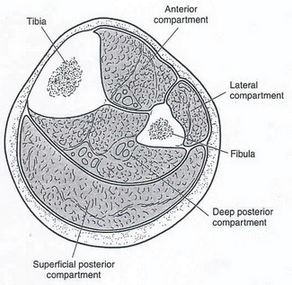 Shin Pain - Foot Pain Centres of Leeds